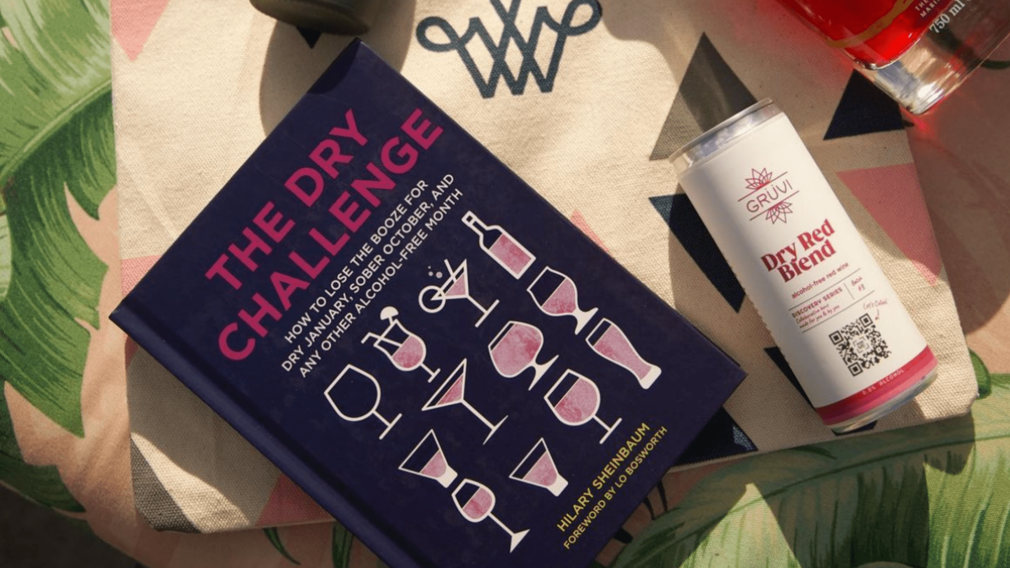 Meet Hilary Sheinbaum, Author of The Dry Challenge — the Viral Book on ...